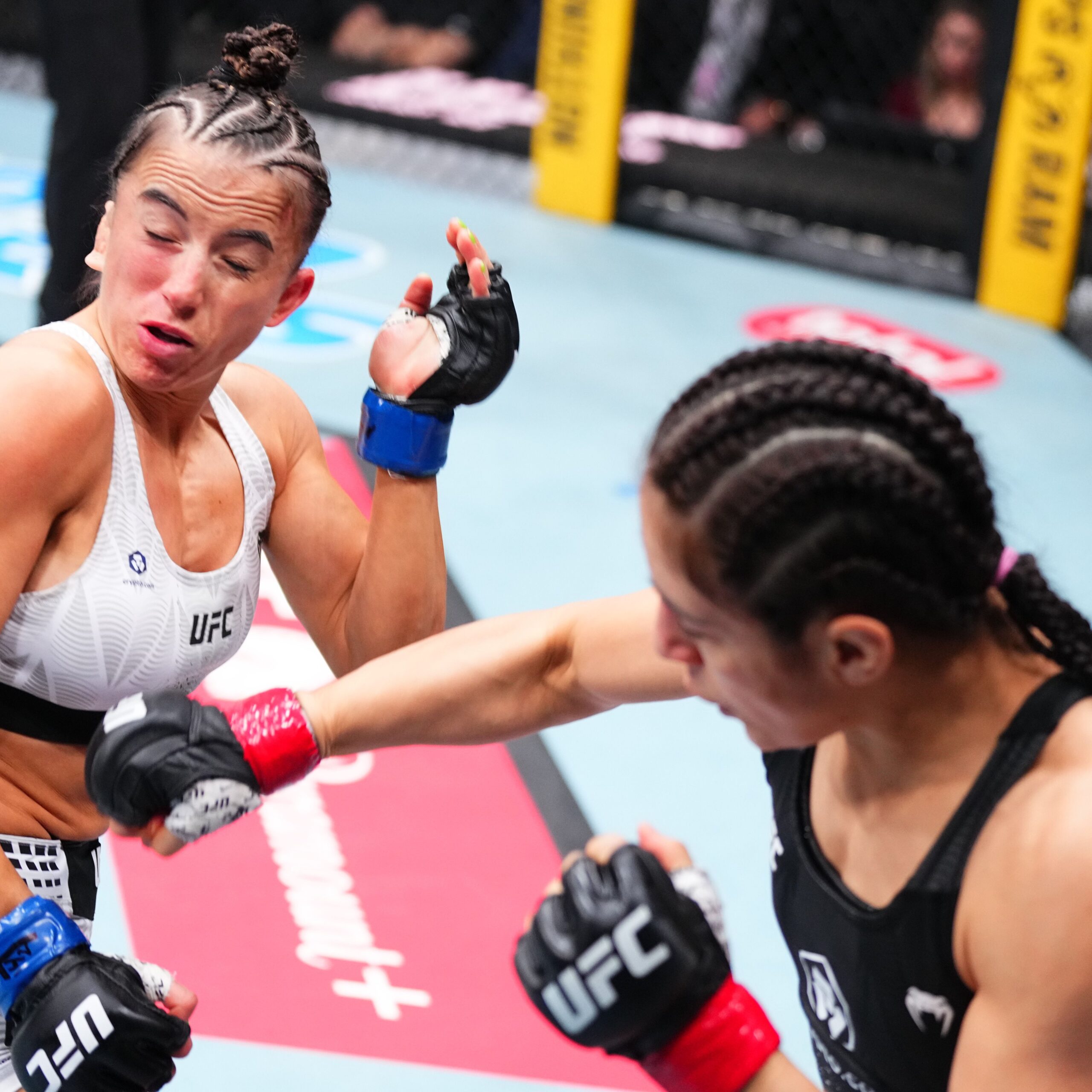 Alexa Grasso Delivers Brutal Knockout and Choke Finish Against Maycee ...